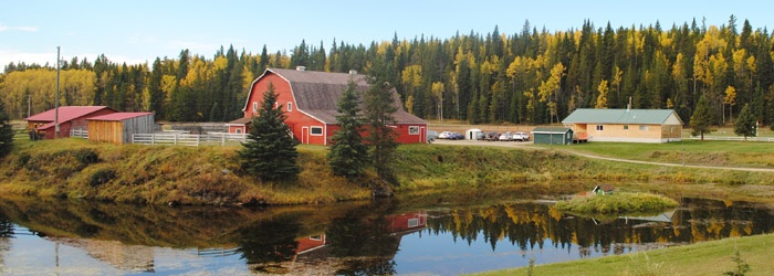 Camp Kindle - The Centre for Learning@HOME